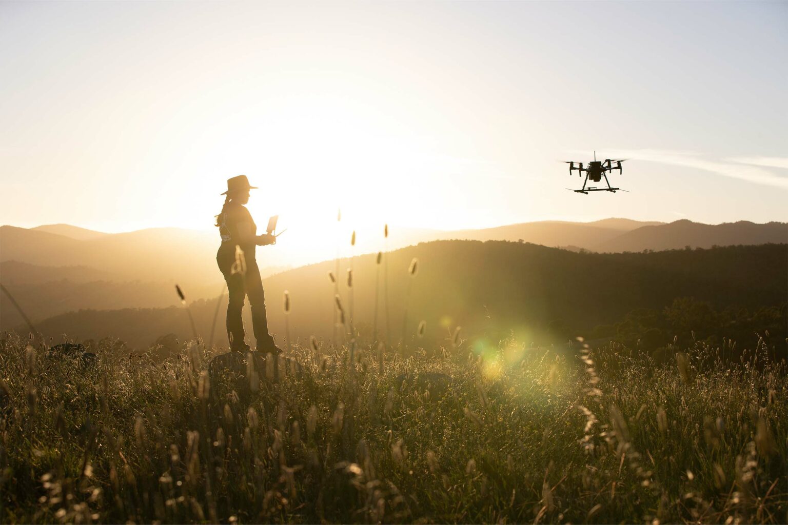 Wetlands and invasive species - Wildlife Drones