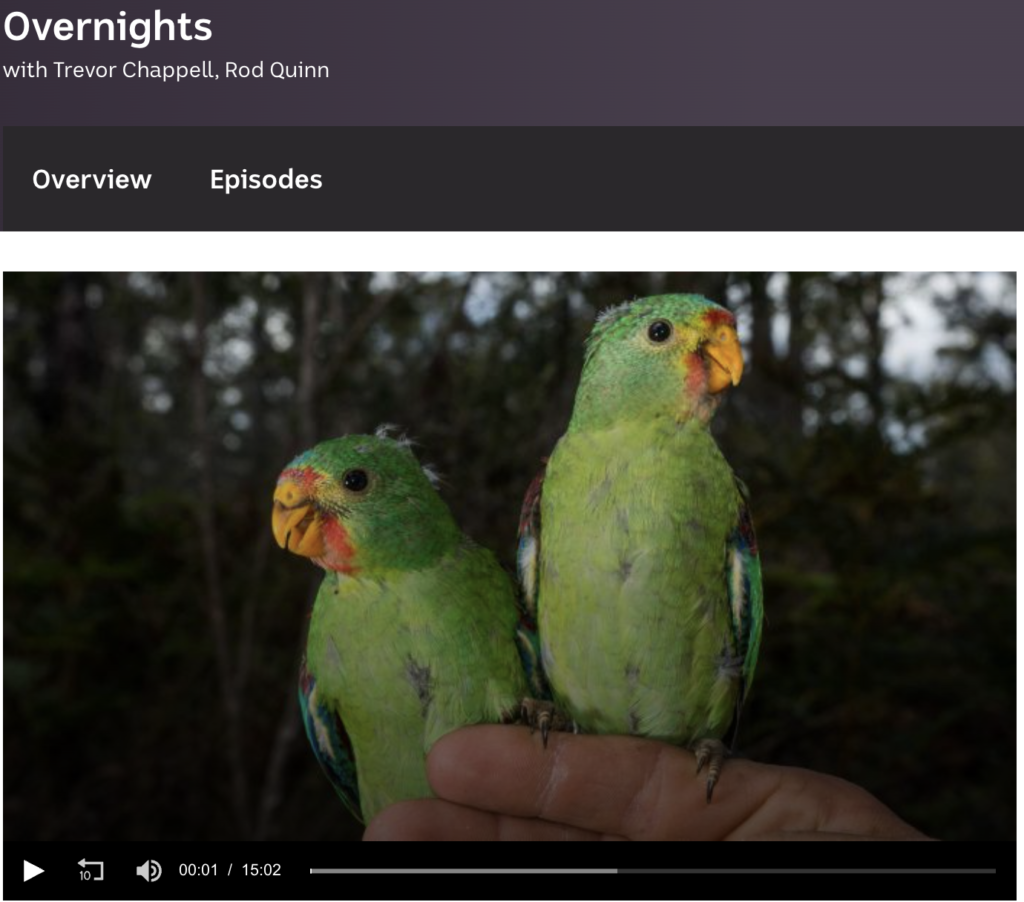 ABC Overnights with Rod Quinn