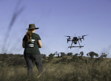 News & Insights - Get the latest updates from Wildlife Drones