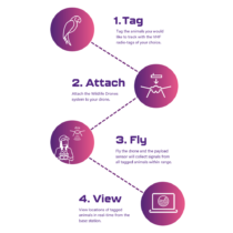 Radio-telemetry system - Learn how drone-based wildlife telemetry works