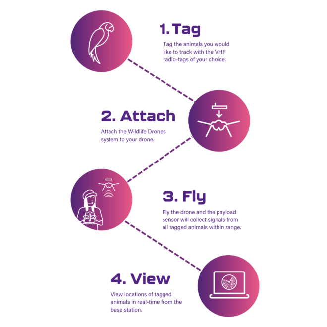 Radio-telemetry system - Learn how drone-based wildlife telemetry works