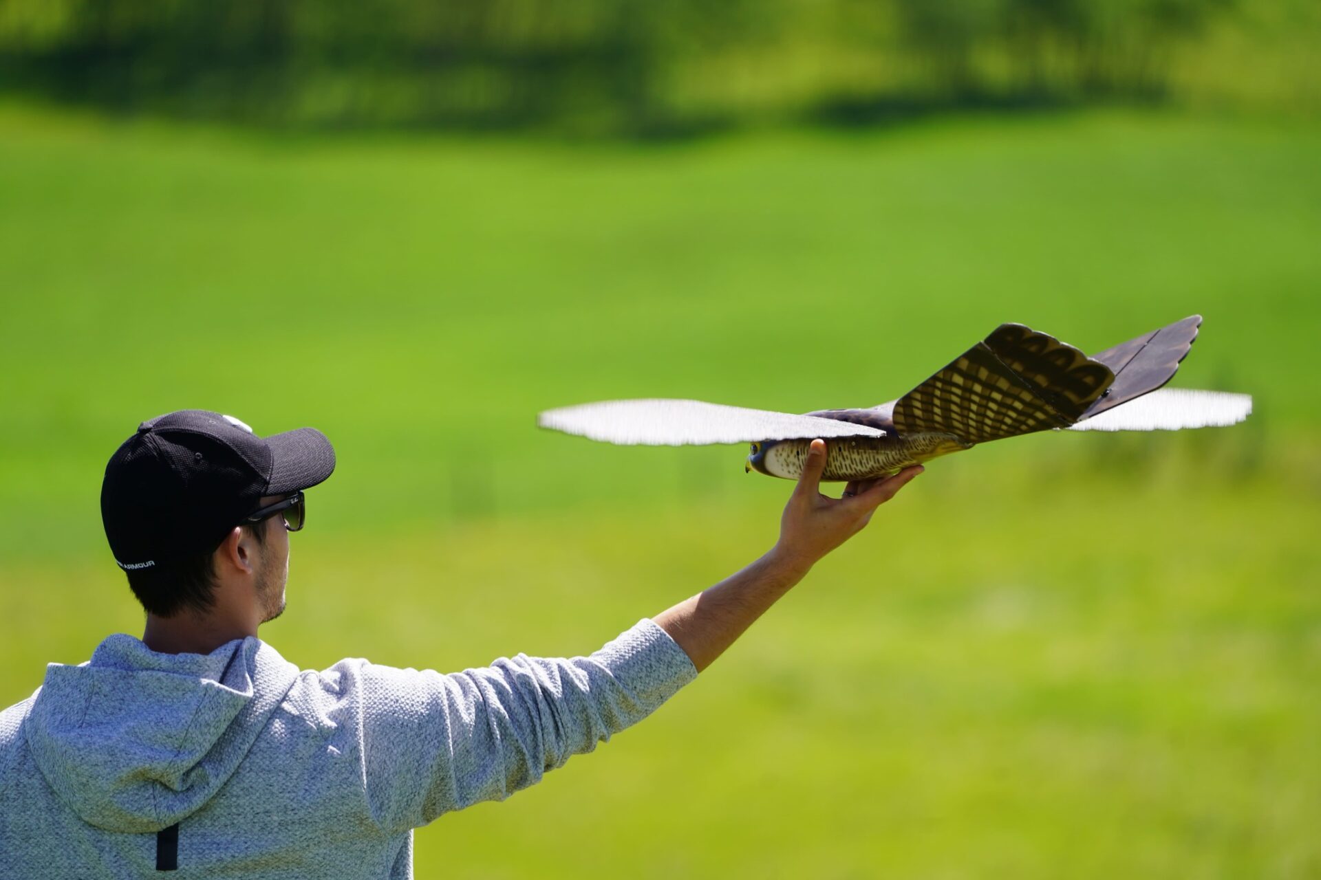 3 bio-inspired drones - Wildlife Drones