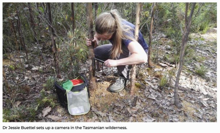 5 uses of camera traps - Wildlife Drones