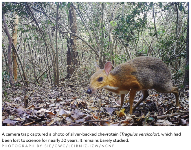 5 uses of camera traps - Wildlife Drones