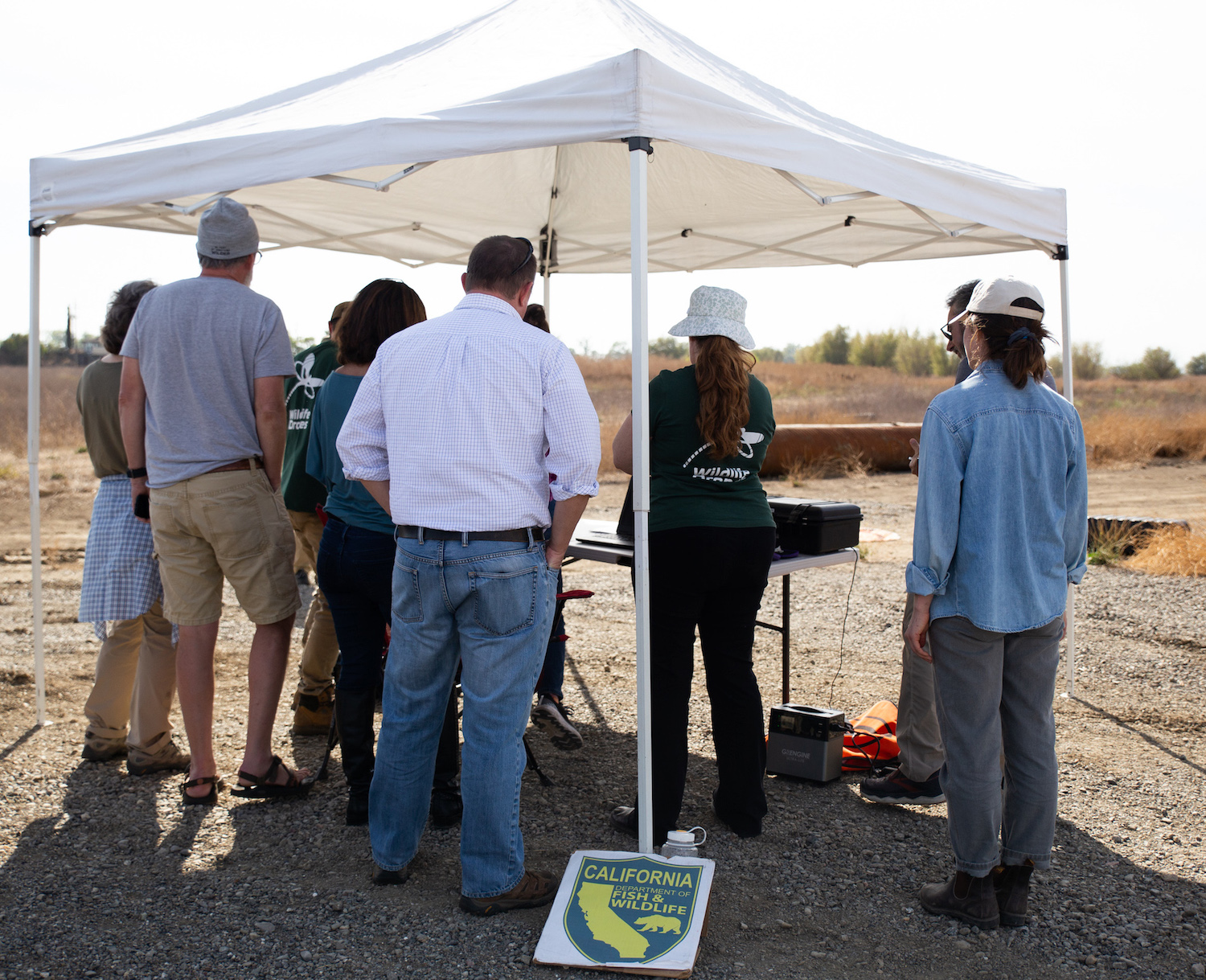 Radio-tracking Myotis bats - Wildlife Drones