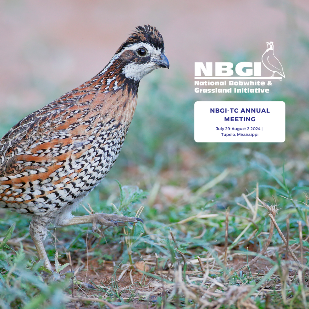NBGI Conference 2024 - Wildlife Drones