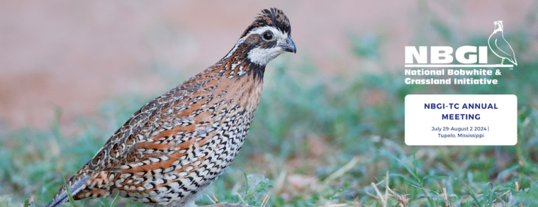 NBGI Conference 2024 - Wildlife Drones